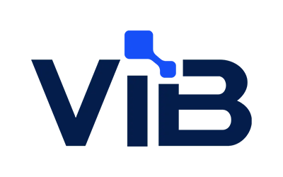 VIB – The Official Cybersecurity Summit